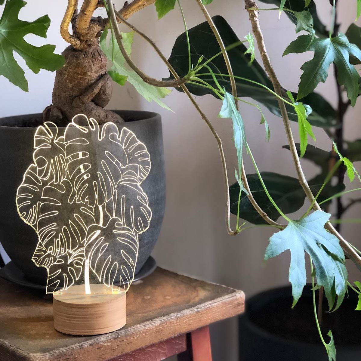MONSTERA BULBING Optical Illusion 2D To 3D Table Lamp Eco Friendly LED ...