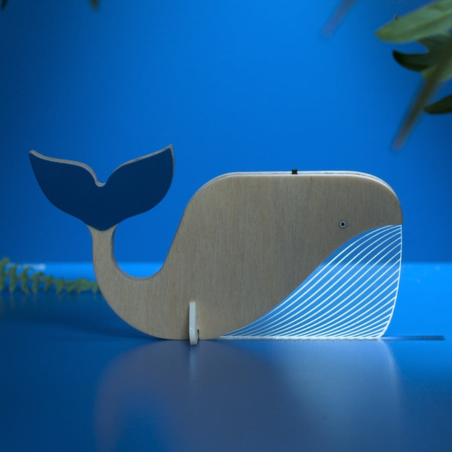 The Animal Shop – Studio Cheha